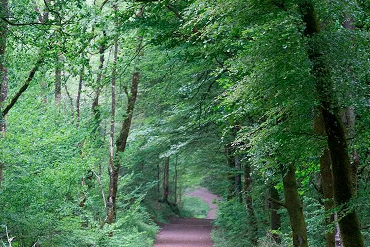 Walking Trails Westmeath | Castle Varagh Hotel